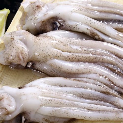 鱿鱼须多少钱一斤_新鲜冷冻价格区别-第1张图片-山城妙识