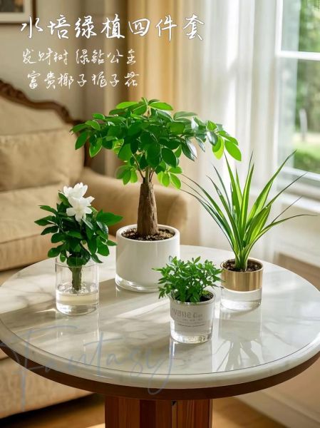 哪些植物净化空气效果最好_室内绿植怎么选-第2张图片-山城妙识 哪些植物净化空气效果最好_室内绿植怎么选-第2张图片-山城妙识