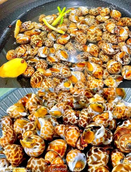 花螺怎么吃_花螺哪个部位能吃-第1张图片-山城妙识