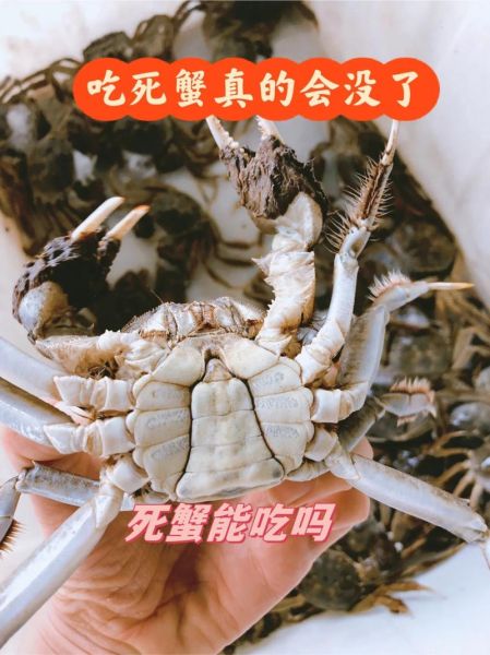 海蟹死了多久不能吃_海蟹死后多久有毒-第2张图片-山城妙识
