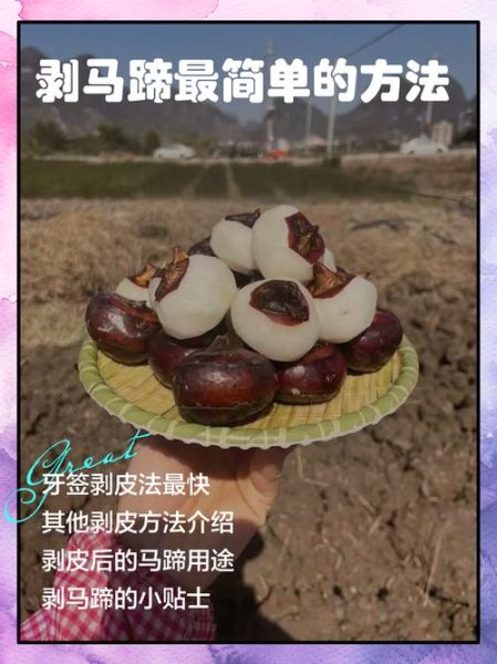 荸荠怎么去皮最快_荸荠去皮的小窍门-第1张图片-山城妙识
