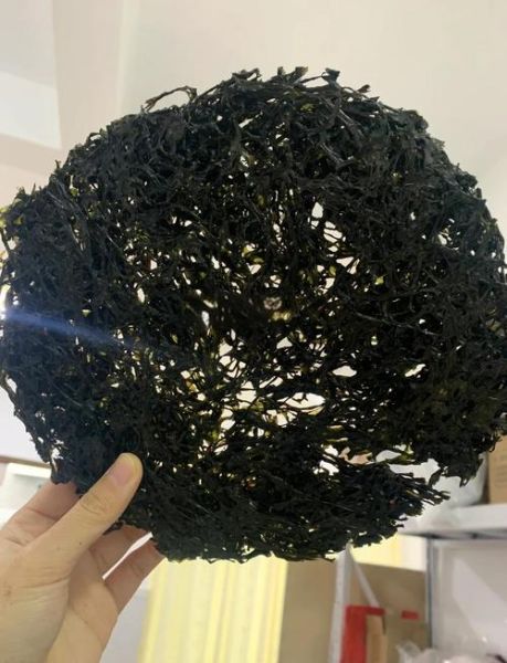 紫菜头有什么功效_紫菜头能降血压吗-第1张图片-山城妙识 紫菜头有什么功效_紫菜头能降血压吗-第1张图片-山城妙识