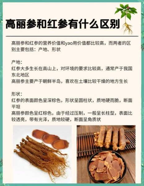 吃高丽参有什么好处_高丽参适合什么人吃-第2张图片-山城妙识