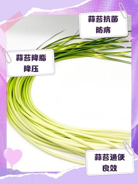 蒜苔的营养价值_蒜苔怎么吃最健康-第2张图片-山城妙识