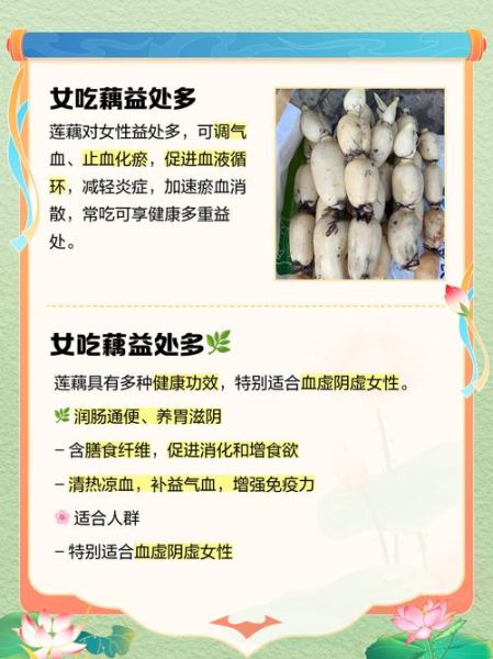 莲藕乳房_吃莲藕会让胸部变大吗-第2张图片-山城妙识