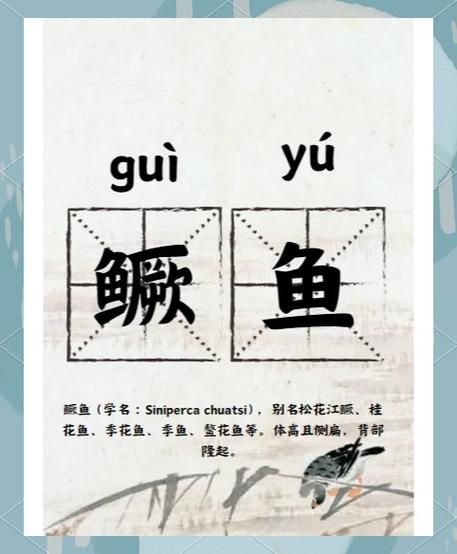 鳜鱼肥读音怎么读_鳜鱼肥拼音是什么-第1张图片-山城妙识