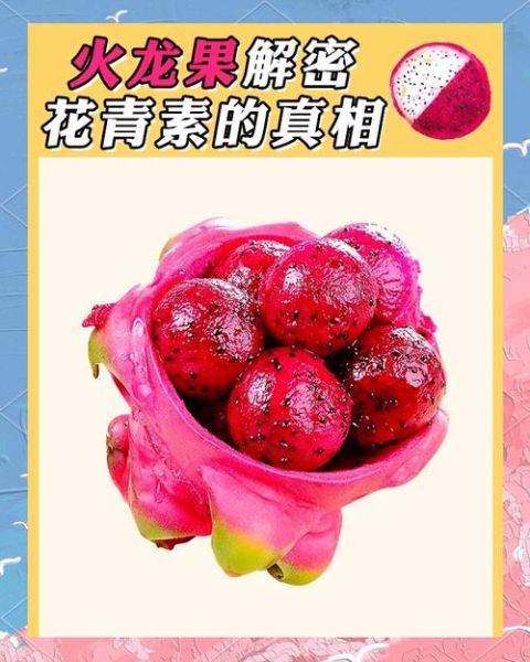 火龙果花青素_火龙果花青素的功效与作用-第2张图片-山城妙识