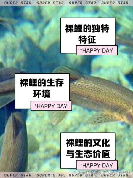 裸鲤鱼怎么做好吃_家常做法大全-第1张图片-山城妙识