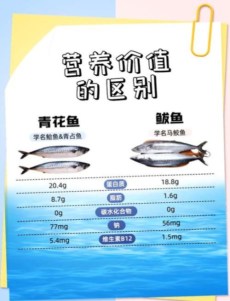 青鱼图片_鲭鱼区别是什么-第1张图片-山城妙识 青鱼图片_鲭鱼区别是什么-第1张图片-山城妙识