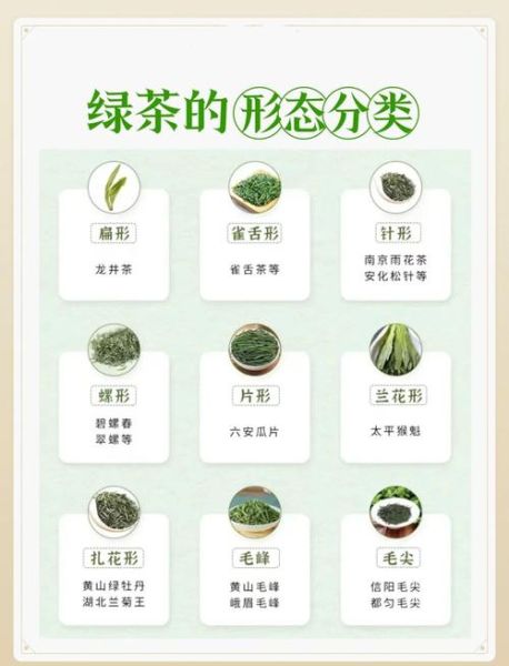 绿茶的种类有哪些_绿茶图片大全集怎么分辨-第3张图片-山城妙识 绿茶的种类有哪些_绿茶图片大全集怎么分辨-第3张图片-山城妙识