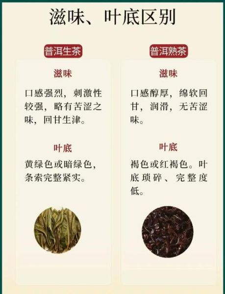 普洱生茶好还是熟茶好_普洱生茶和熟茶的区别-第1张图片-山城妙识 普洱生茶好还是熟茶好_普洱生茶和熟茶的区别-第1张图片-山城妙识