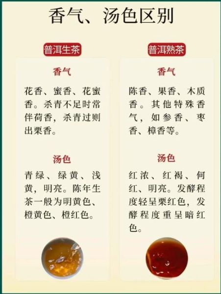 普洱生茶好还是熟茶好_普洱生茶和熟茶的区别-第2张图片-山城妙识 普洱生茶好还是熟茶好_普洱生茶和熟茶的区别-第2张图片-山城妙识
