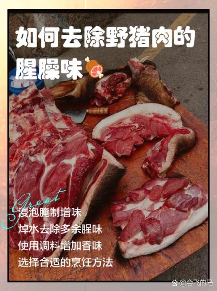 野猪肉怎么吃_野猪肉去腥做法-第1张图片-山城妙识 野猪肉怎么吃_野猪肉去腥做法-第1张图片-山城妙识