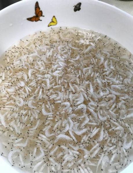 虾皮粉怎么做_虾皮粉保存多久-第1张图片-山城妙识 虾皮粉怎么做_虾皮粉保存多久-第1张图片-山城妙识