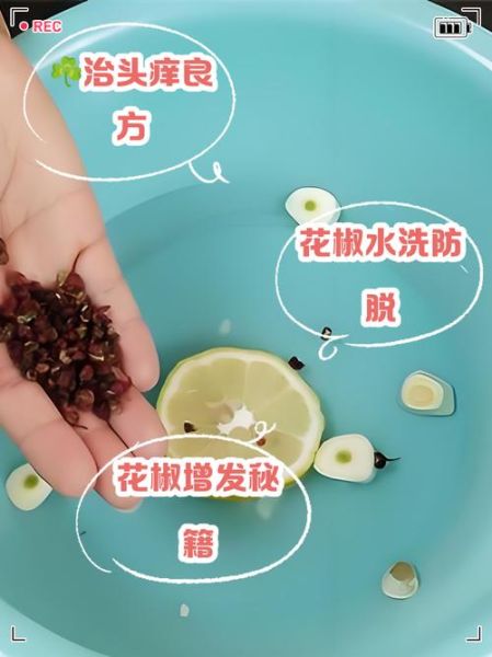 花椒水洗头能治脱发吗_花椒水洗头的正确方法-第3张图片-山城妙识