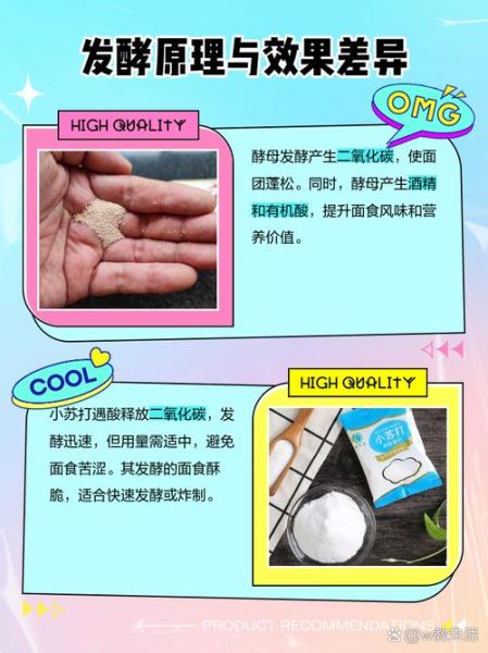 酵母粉和小苏打的区别_哪个更健康-第1张图片-山城妙识 酵母粉和小苏打的区别_哪个更健康-第1张图片-山城妙识