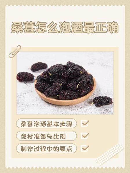 桑葚泡酒配方大全_桑葚酒怎么泡好喝-第2张图片-山城妙识