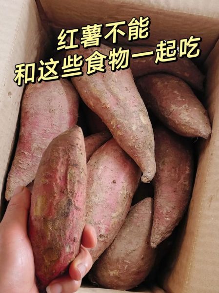 山药和红薯能一起吃吗_山药红薯同食禁忌-第1张图片-山城妙识 山药和红薯能一起吃吗_山药红薯同食禁忌-第1张图片-山城妙识