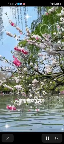 蚌埠怎么读拼音_蚌埠是什么梗-第2张图片-山城妙识