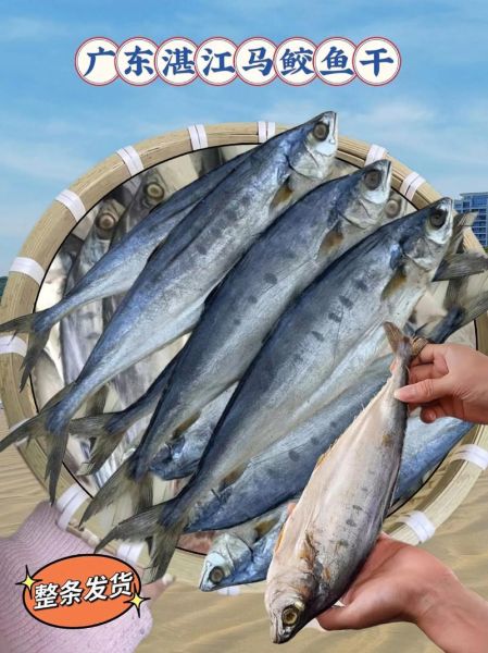 马鲛鱼什么人不能吃_痛风患者能吃吗-第2张图片-山城妙识