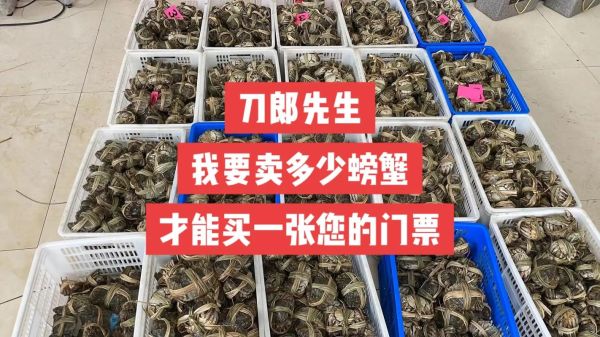 兴化大闸蟹多少钱一斤_2024最新批发行情-第2张图片-山城妙识