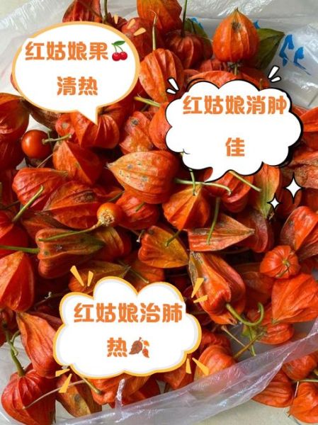 红姑娘怎么吃_红姑娘果食用方法-第1张图片-山城妙识