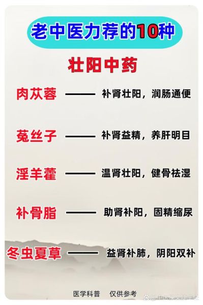 补肾壮阳中药秘方有哪些_肾虚怎么调理最快-第3张图片-山城妙识