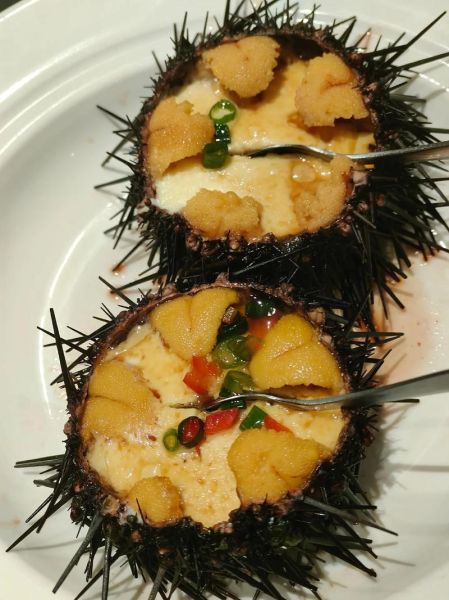 海胆蒸蛋当事人道歉_事件真相是什么-第2张图片-山城妙识