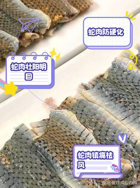 菜花蛇能吃吗_菜花蛇有毒吗-第2张图片-山城妙识