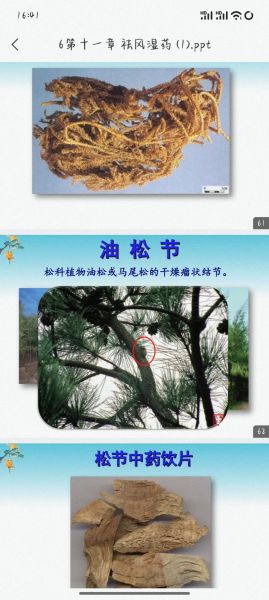 松节油的功效与作用_松节油能治疗哪些疾病-第1张图片-山城妙识