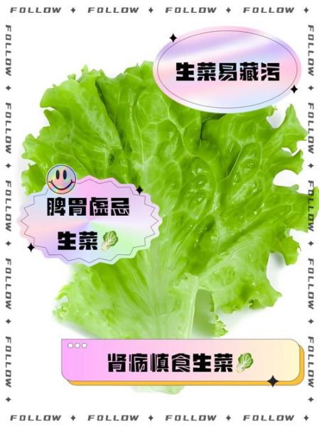 医生建议不吃生菜的原因_生菜到底哪里不安全-第1张图片-山城妙识