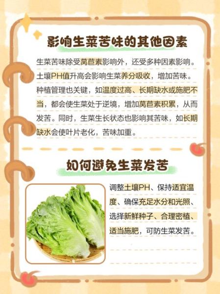 医生建议不吃生菜的原因_生菜到底哪里不安全-第3张图片-山城妙识