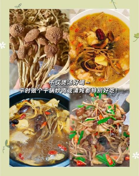 茶树菇汤的做法_茶树菇汤的功效与禁忌-第3张图片-山城妙识 茶树菇汤的做法_茶树菇汤的功效与禁忌-第3张图片-山城妙识