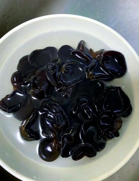 新鲜黑木耳怎么泡发_新鲜黑木耳炒多久才熟-第1张图片-山城妙识