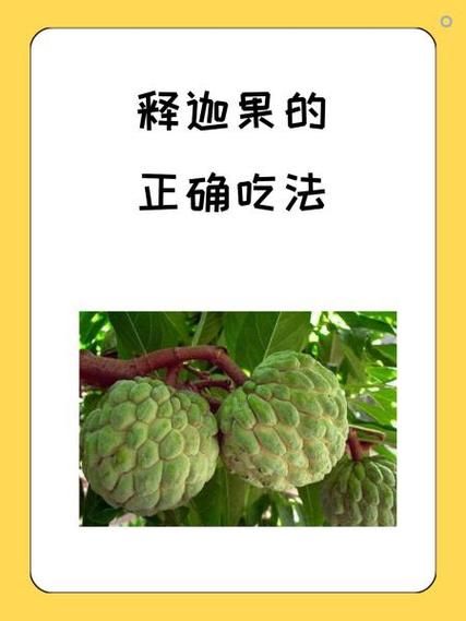 台湾释迦果的功效与吃法_释迦果怎么吃最好-第2张图片-山城妙识