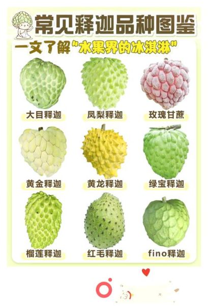 台湾释迦果的功效与吃法_释迦果怎么吃最好-第1张图片-山城妙识