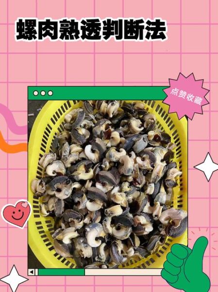 大海螺水煮几分钟_怎么判断熟没熟-第1张图片-山城妙识