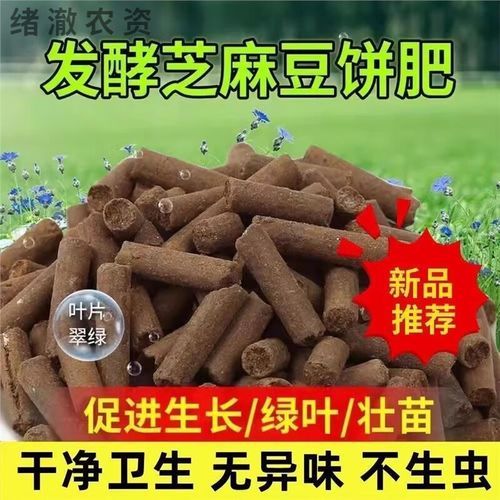 豆饼肥怎么用_豆饼肥使用方法-第3张图片-山城妙识 豆饼肥怎么用_豆饼肥使用方法-第3张图片-山城妙识