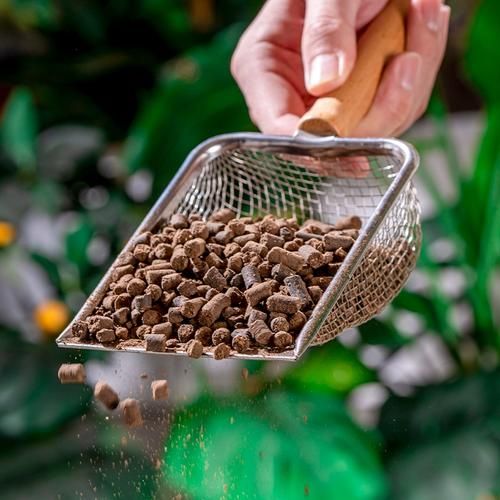 豆饼肥怎么用_豆饼肥使用方法-第1张图片-山城妙识 豆饼肥怎么用_豆饼肥使用方法-第1张图片-山城妙识