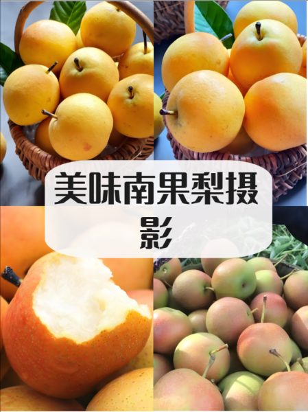 南果梨产地在哪里_南果梨怎么保存-第2张图片-山城妙识