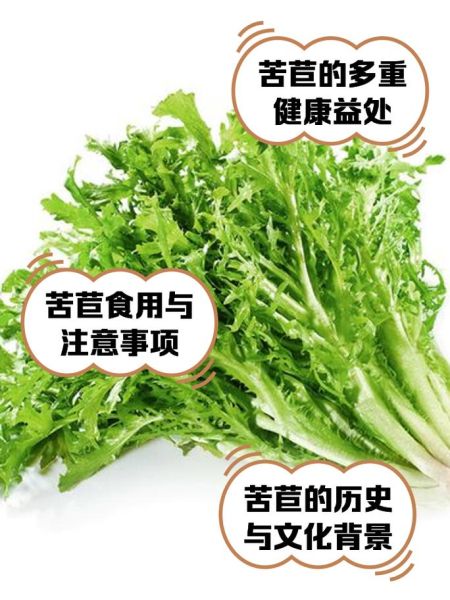 苦菊吃多了有什么副作用_苦菊一天吃多少合适-第1张图片-山城妙识