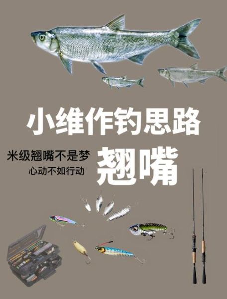 翘嘴红鲌怎么钓_翘嘴红鲌和翘嘴区别-第1张图片-山城妙识