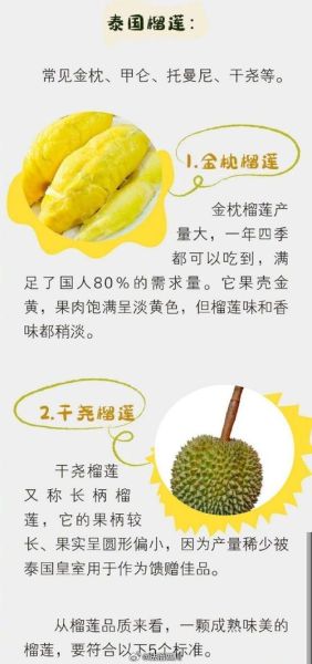 一天吃一整个榴莲可以吗_榴莲一天吃多少合适-第3张图片-山城妙识