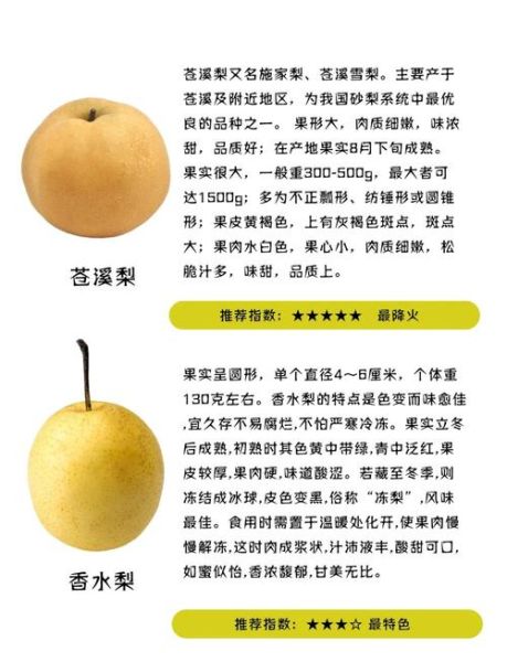 中国最好吃的梨有哪些_产地与口感全解析-第1张图片-山城妙识 中国最好吃的梨有哪些_产地与口感全解析-第1张图片-山城妙识