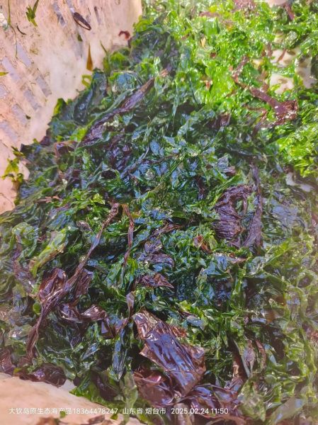 紫菜属于海鲜吗_紫菜过敏能吃吗-第2张图片-山城妙识