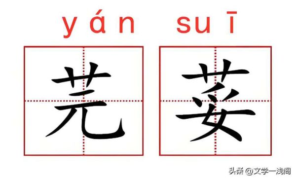 芫荽怎么读_为什么叫芫荽-第1张图片-山城妙识