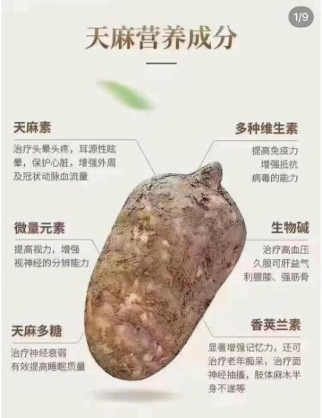 女人吃天麻的禁忌_天麻对月经的影响-第2张图片-山城妙识