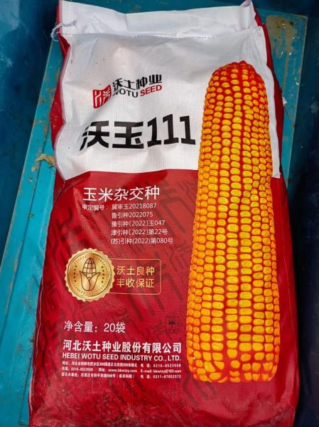 玉米品种哪个好_玉米品种排名第一-第3张图片-山城妙识