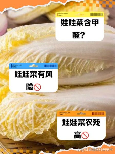 娃娃菜为什么不建议吃_娃娃菜吃多了有什么危害-第1张图片-山城妙识