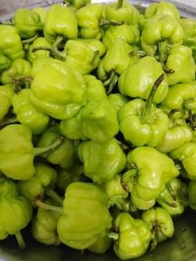 灯笼椒怎么做好吃_灯笼椒的做法大全-第3张图片-山城妙识